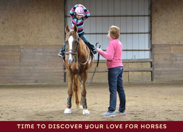 Lessons | Krussell Stables Inc.